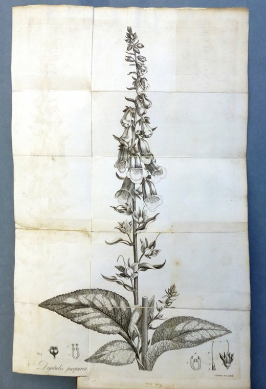 Withering’s Account of the Foxglove | Chetham's Library