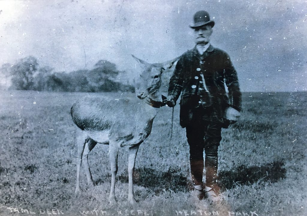 The Pringle Collection | Chetham's Library