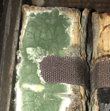 Good As Mould ! | Chetham's Library