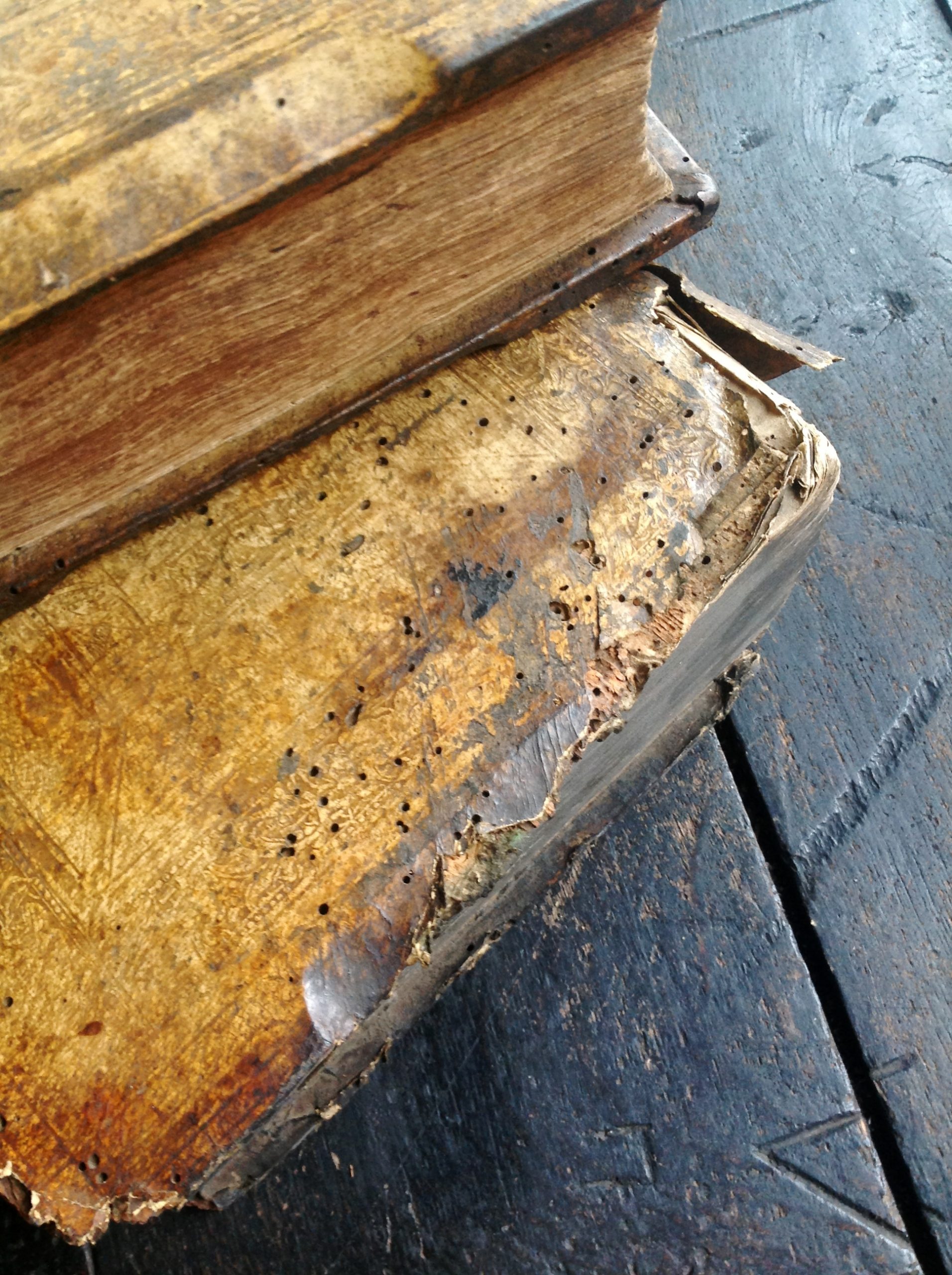 Pesky Pests | Chetham's Library