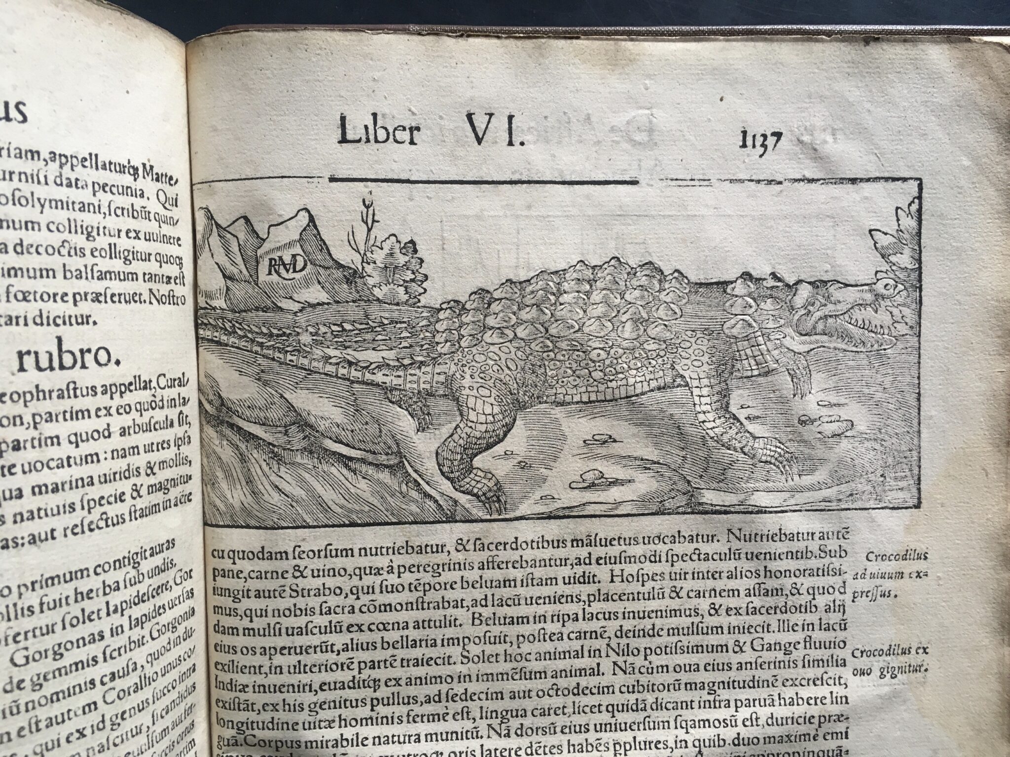 Sebastian Münster’s Cosmographia | Chetham's Library