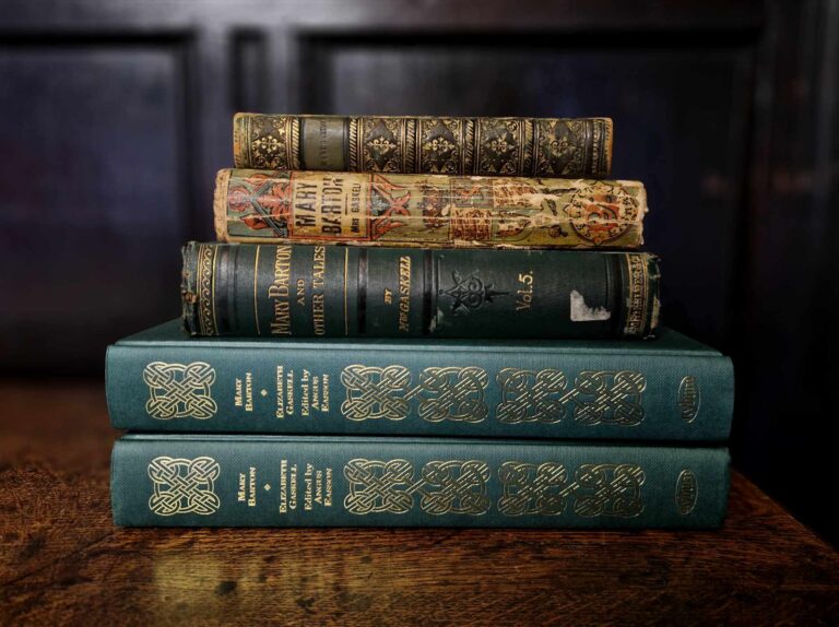 A Tale of Manchester Life: The City’s Most Famous Literary Woman and ...